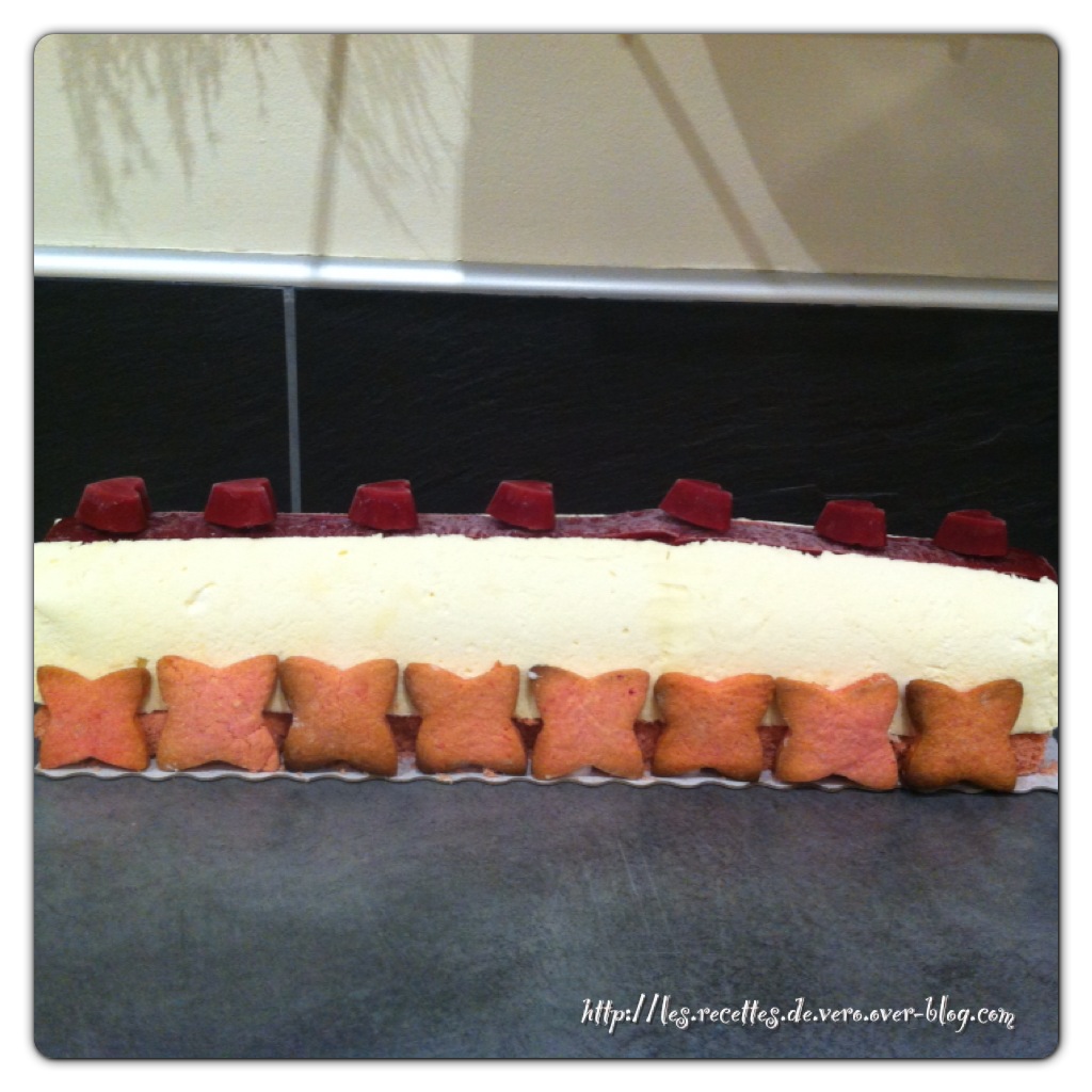 Comment Faire Une Bûche Aux Biscuits Roses De Reims